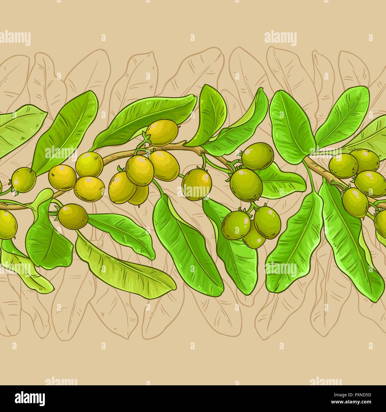shea vector pattern on white background Stock Vector Image & Art - Alamy