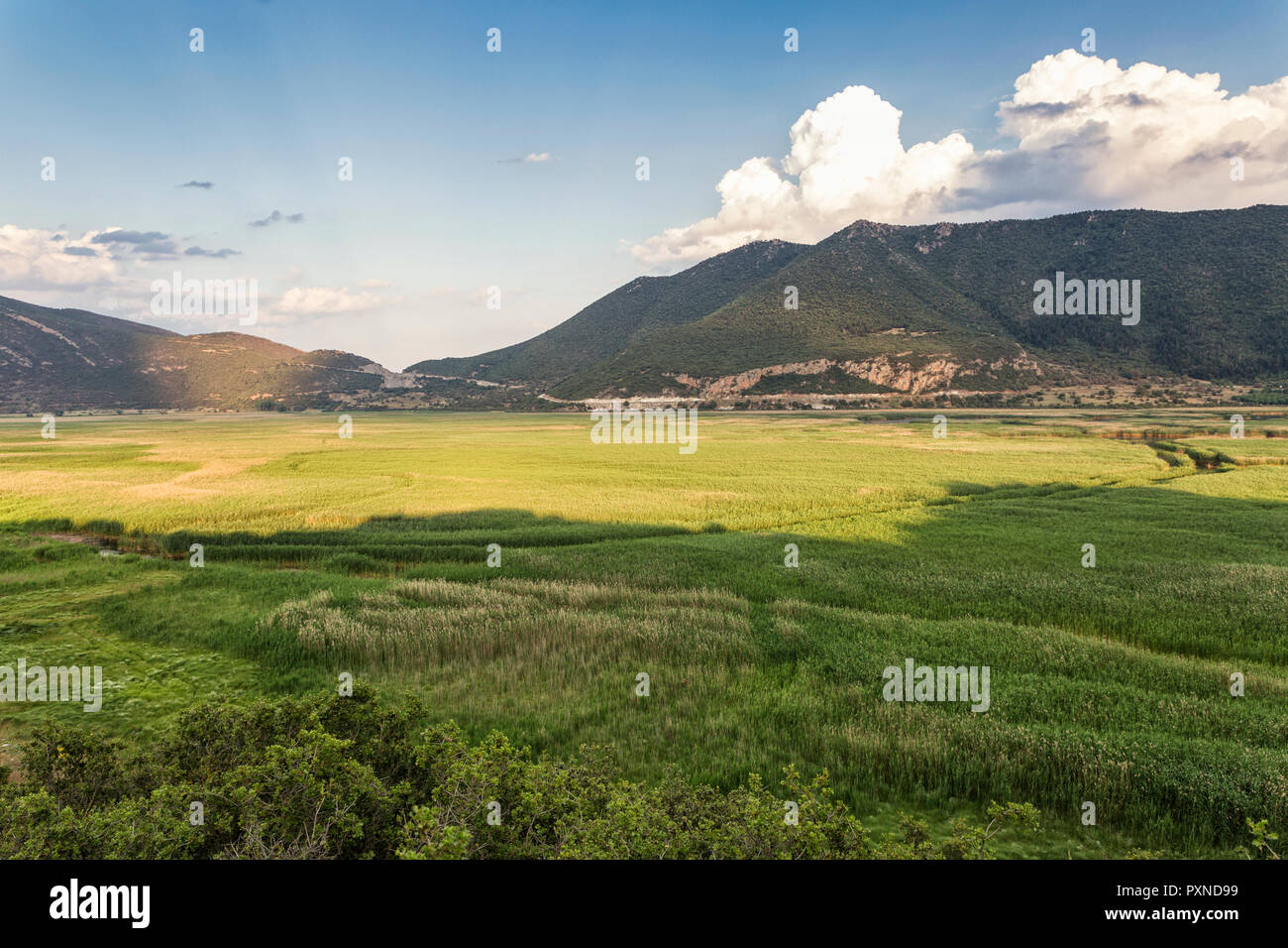 Greece, Peloponnese, Corinthia, Stymfalia, Ancient plateau, Lake ...