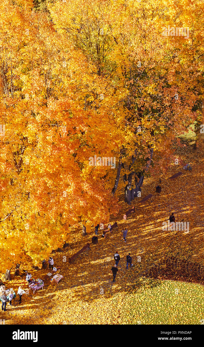 Walking birds eye view hi-res stock photography and images - Alamy