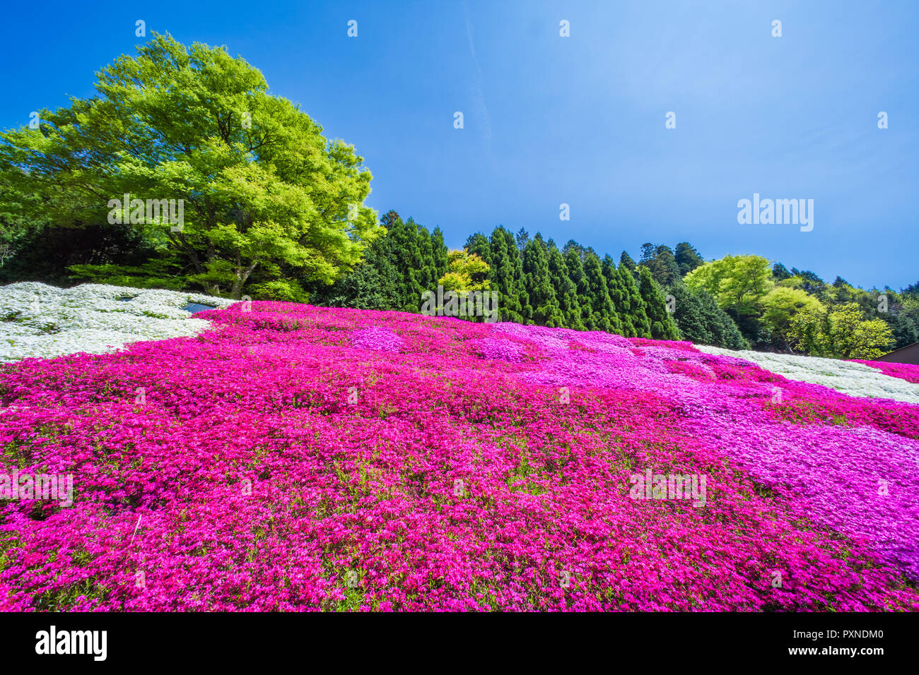 Shimane boundary hi-res stock photography and images - Alamy