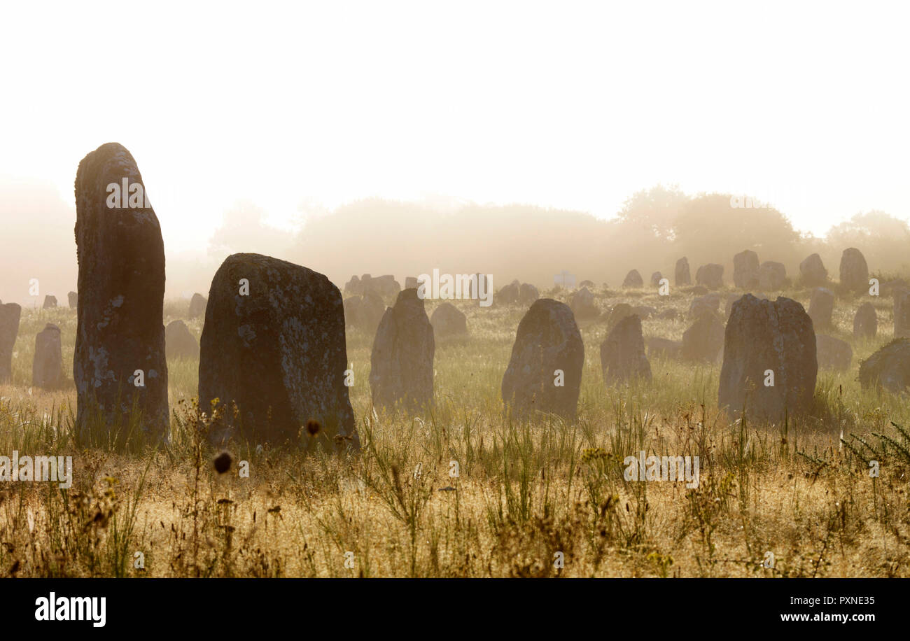 France, Brittany, Morbihan, Carnac, megalithic menhir alignments of ...