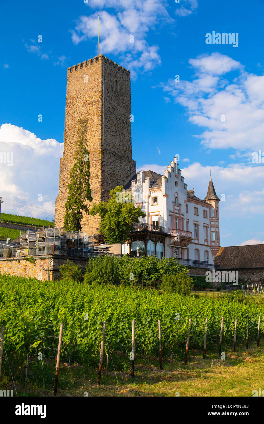 Rhineland palatinate germany rhein hi-res stock photography and images ...