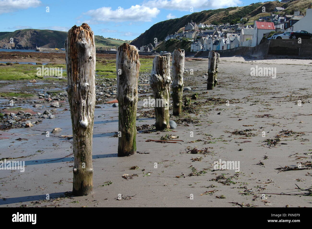 Weathered wooden posts on a beach in the Scottish village of ...