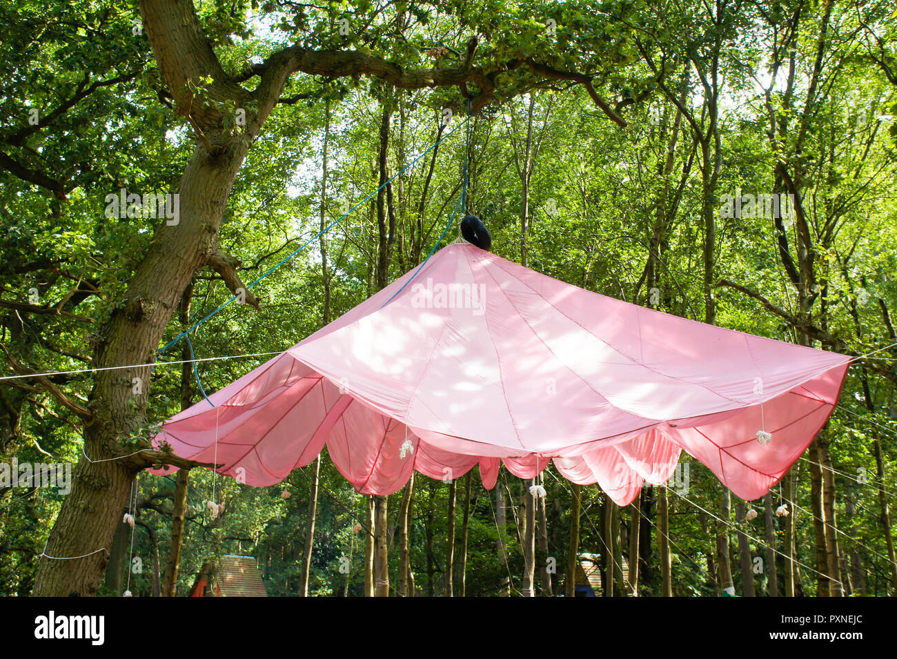 A red hanging canopy in a forest in the UK Stock Photo - Alamy