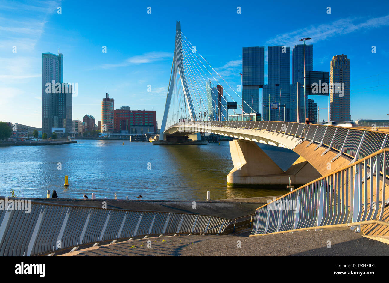 Erasmusbrug de rotterdam hi-res stock photography and images - Alamy