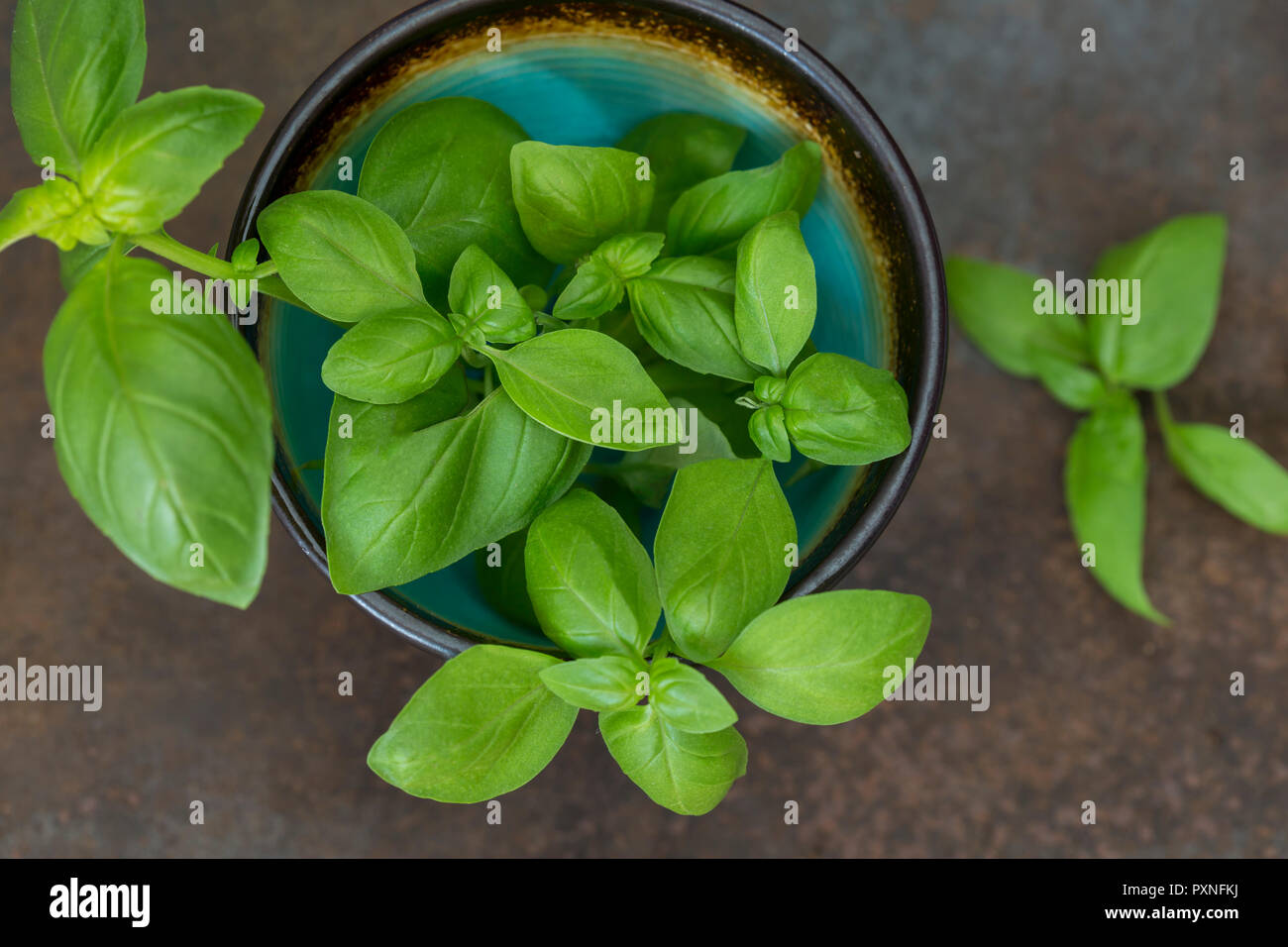Fresh basil in pot close hi-res stock photography and images - Alamy