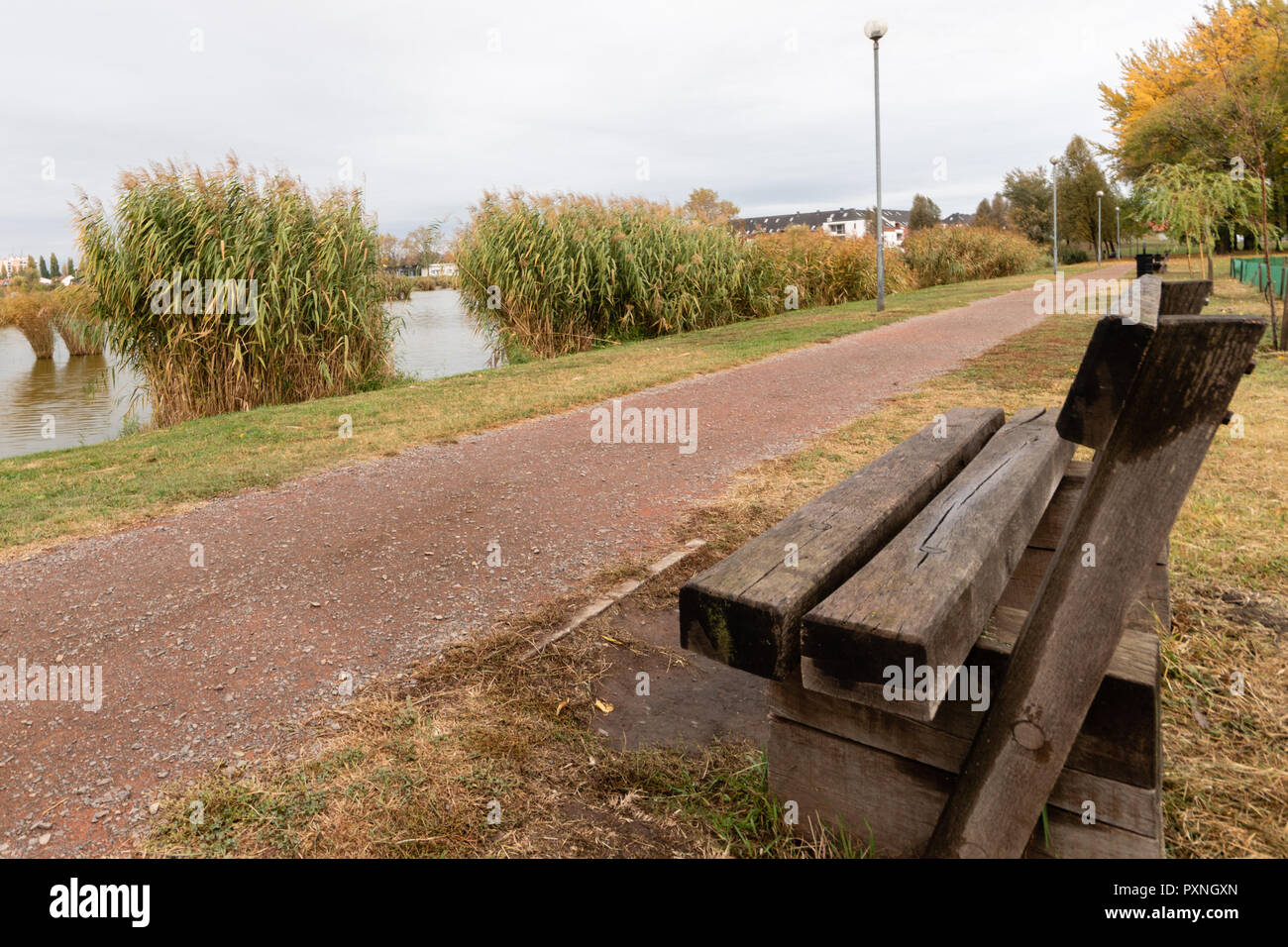 Empty park bench fall colors hi-res stock photography and images - Alamy