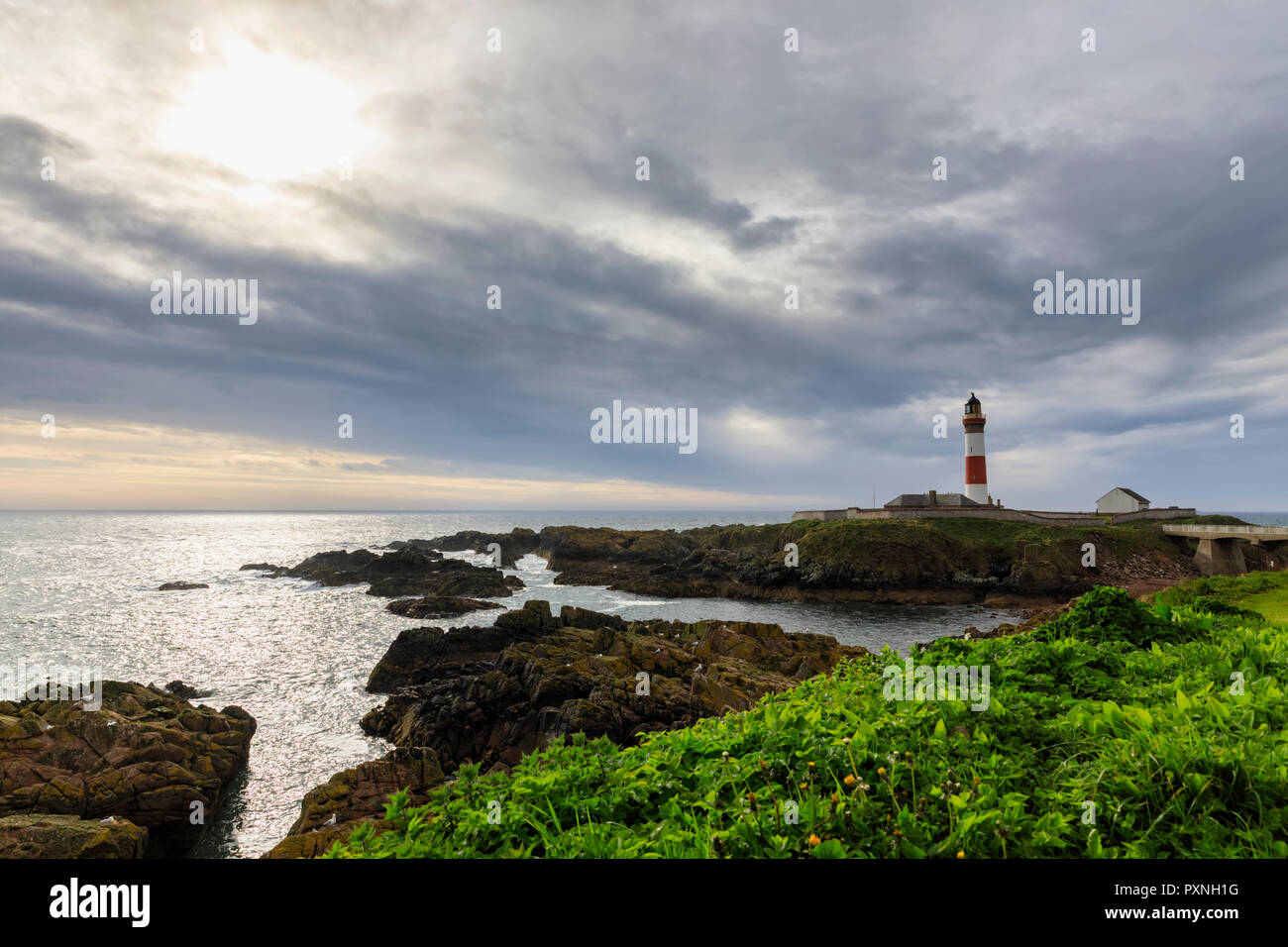 UK, Scotland, Boddam, Buchan Ness Lighthouse Stock Photo - Alamy