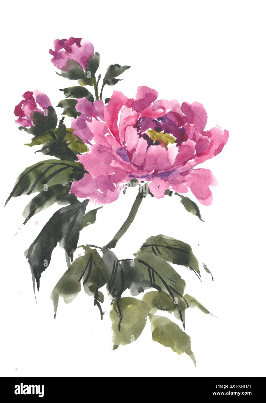 Peony wedding flowers Cut Out Stock Images & Pictures - Alamy