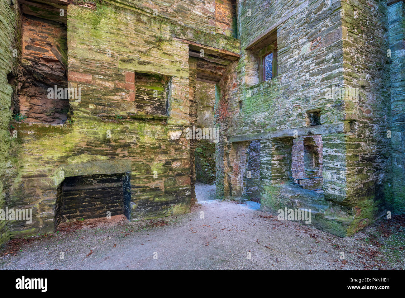 Berry Pomeroy Castle, Devon, England, United Kingdom, Europe Stock ...