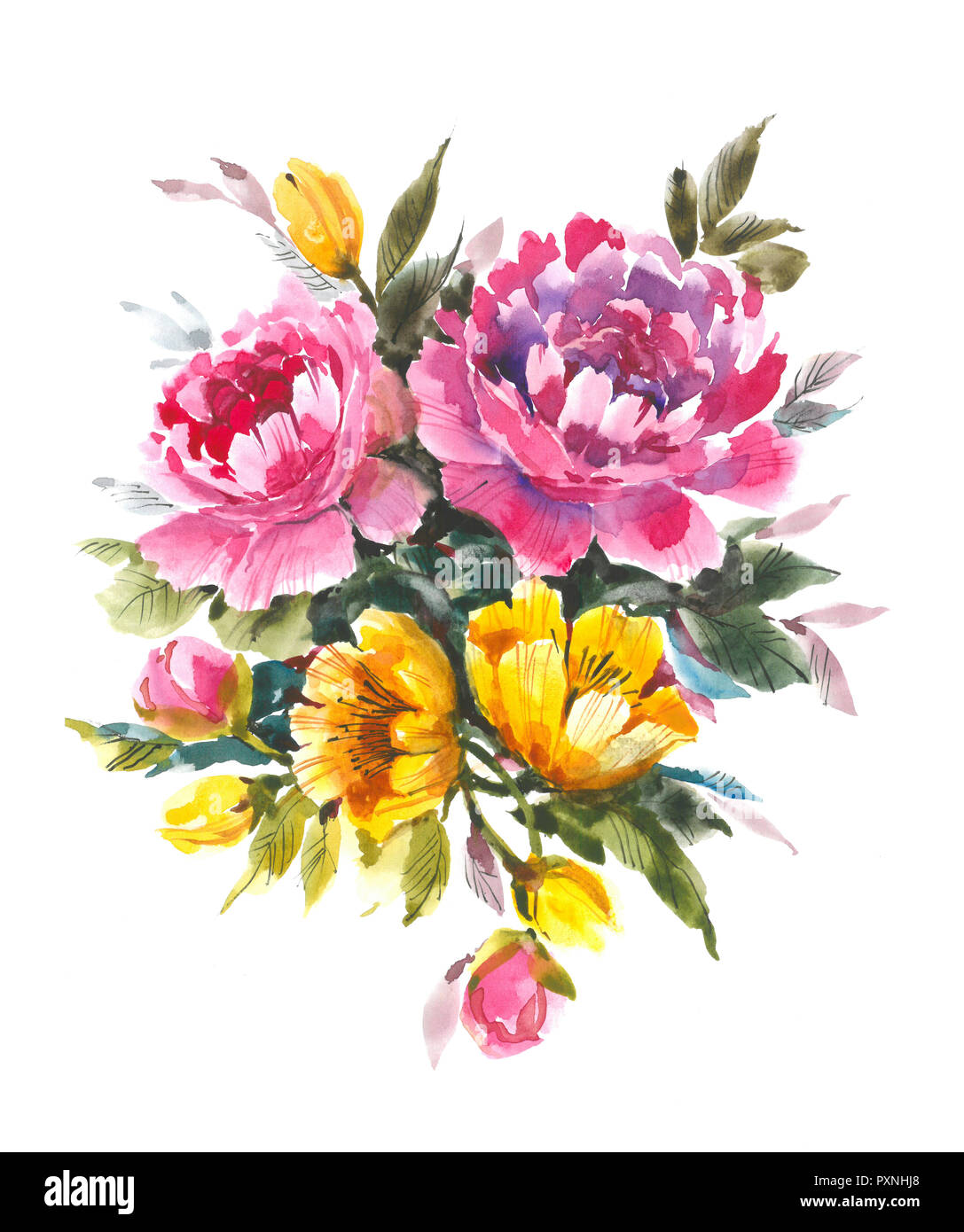 Decorative bouquet with blooming pink peonies. Watercolor background ...
