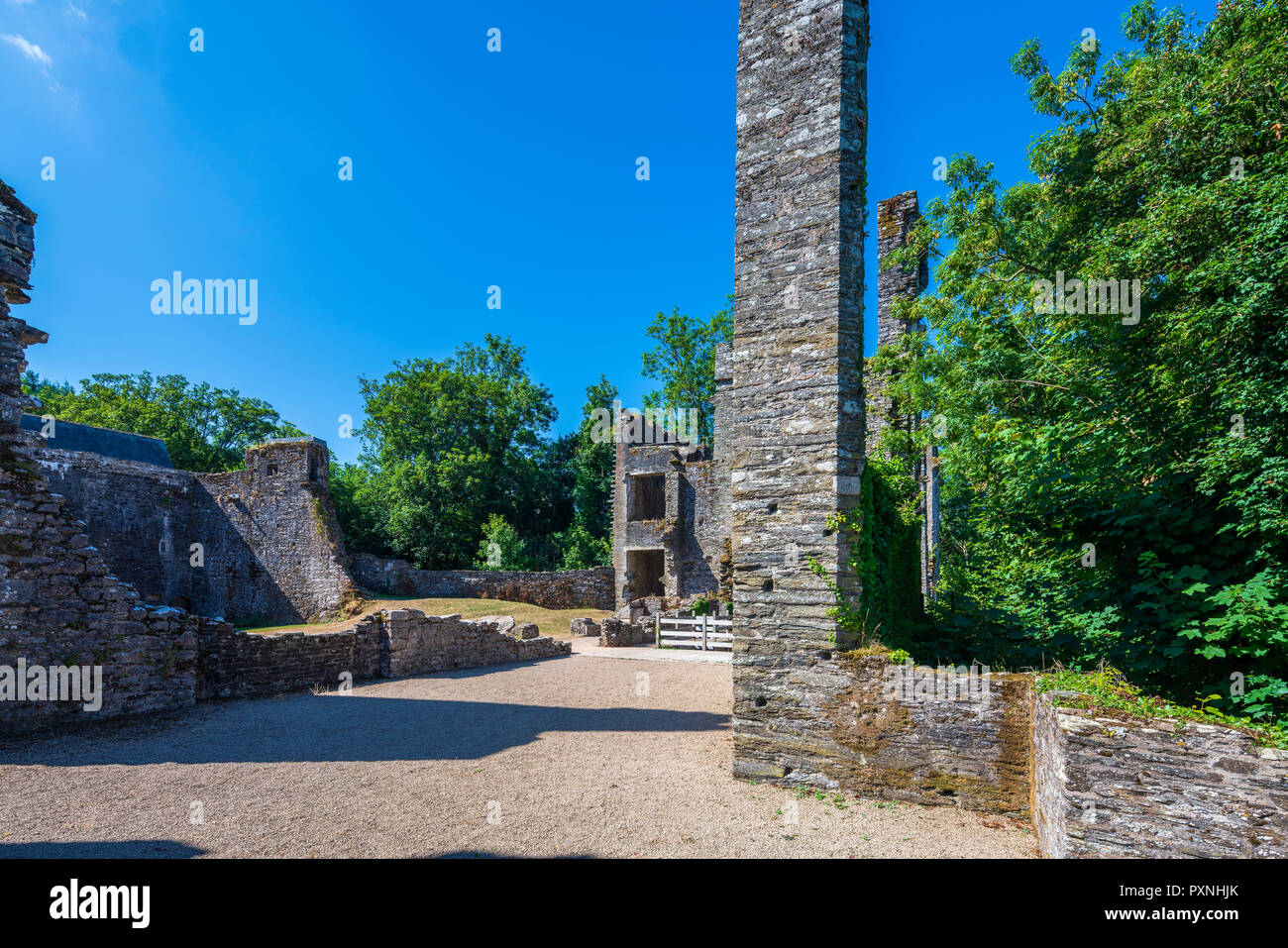 Berry Pomeroy Castle, Devon, England, United Kingdom, Europe Stock ...