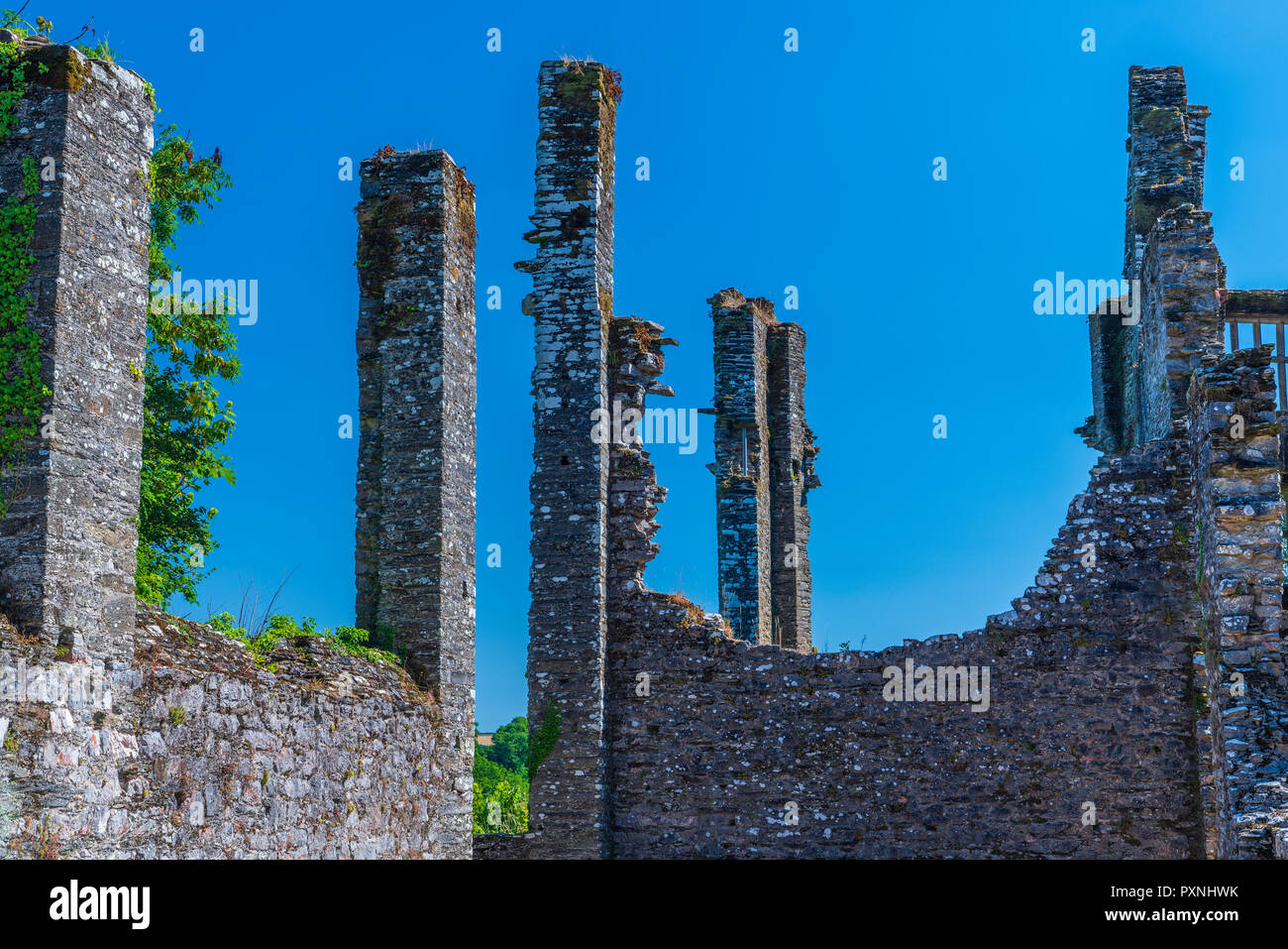 Berry Pomeroy Castle, Devon, England, United Kingdom, Europe Stock ...