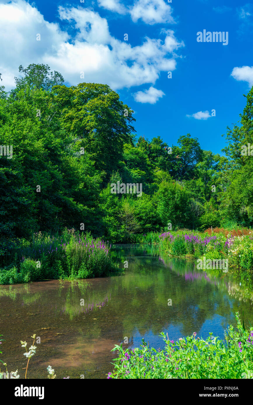 Berry Pomeroy Castle, Devon, England, United Kingdom, Europe Stock ...