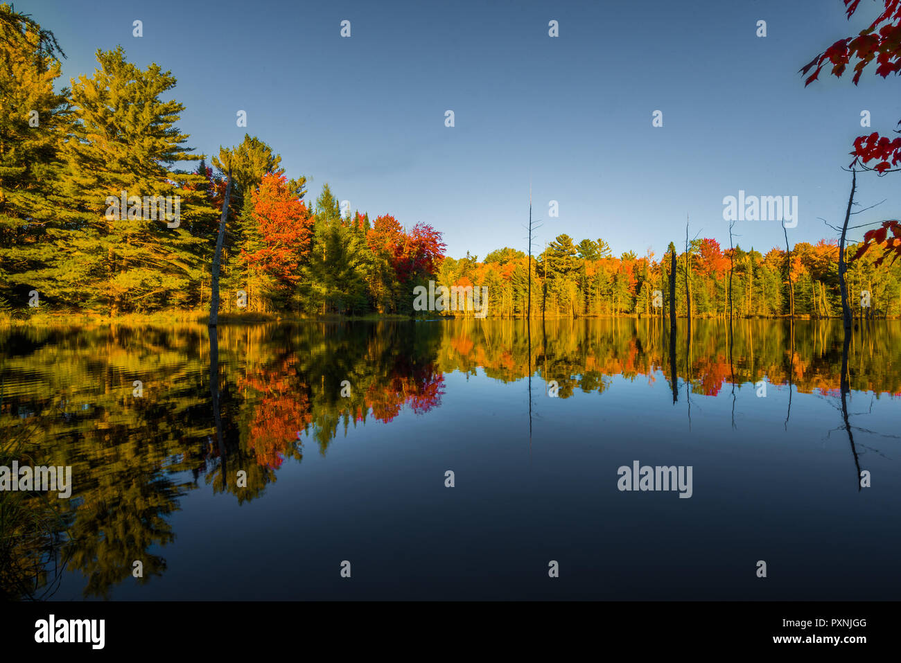 Lake surround with colorful trees Stock Photo - Alamy