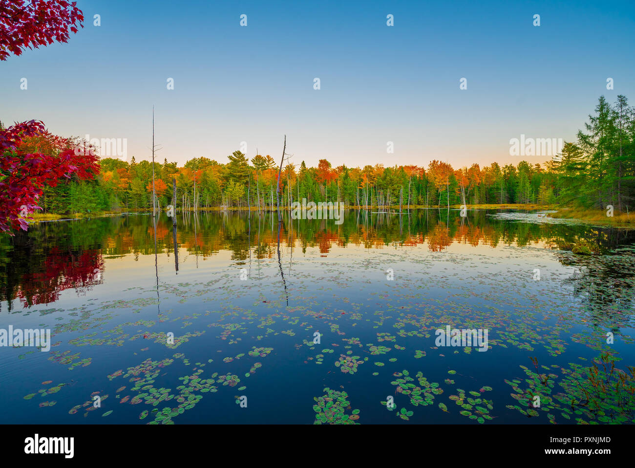 Lake surround with colorful trees Stock Photo - Alamy