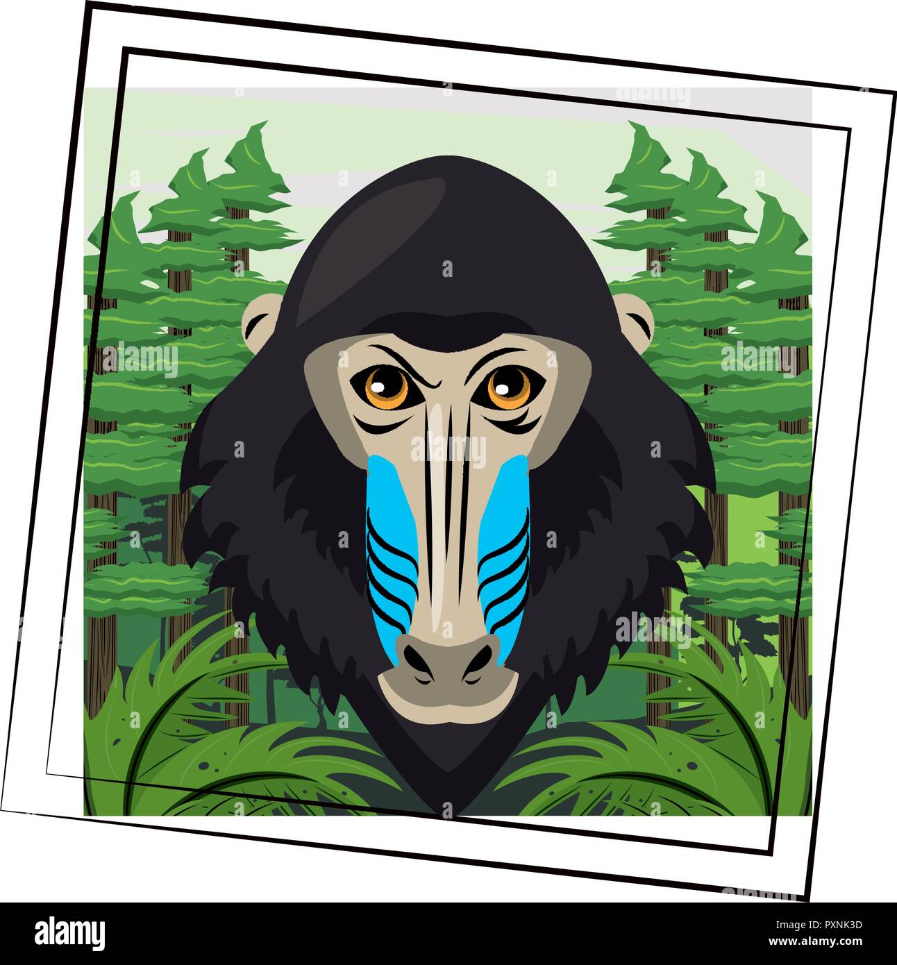 Mandrill face cool sketch Stock Vector Image & Art - Alamy