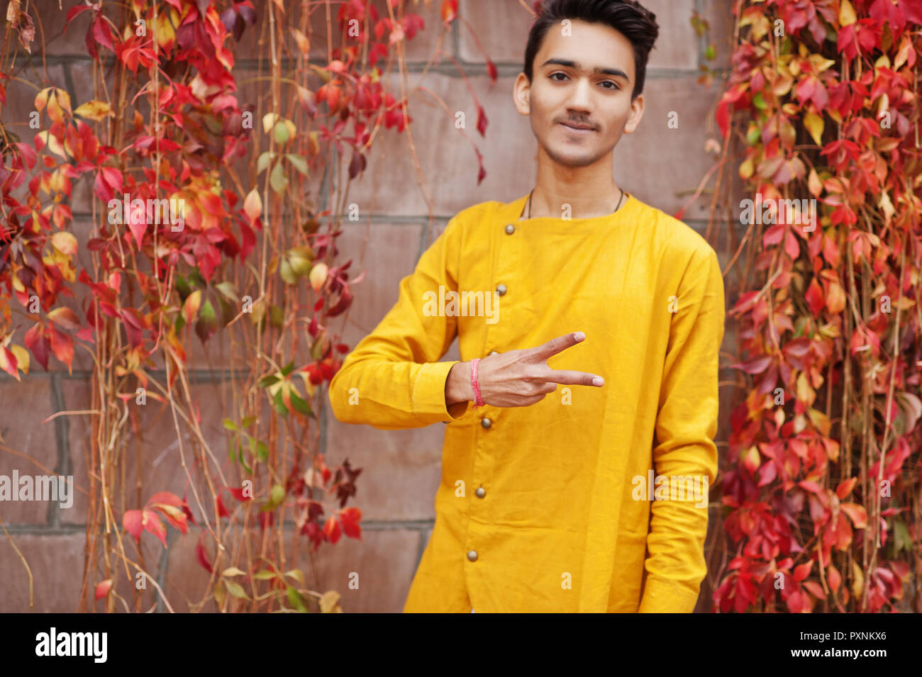 Two indian men posing standing hi-res stock photography and images - Alamy