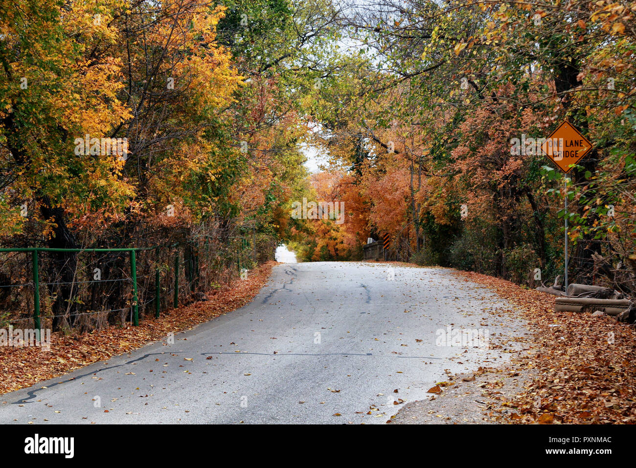 Country road through fall foliage Stock Photo - Alamy
