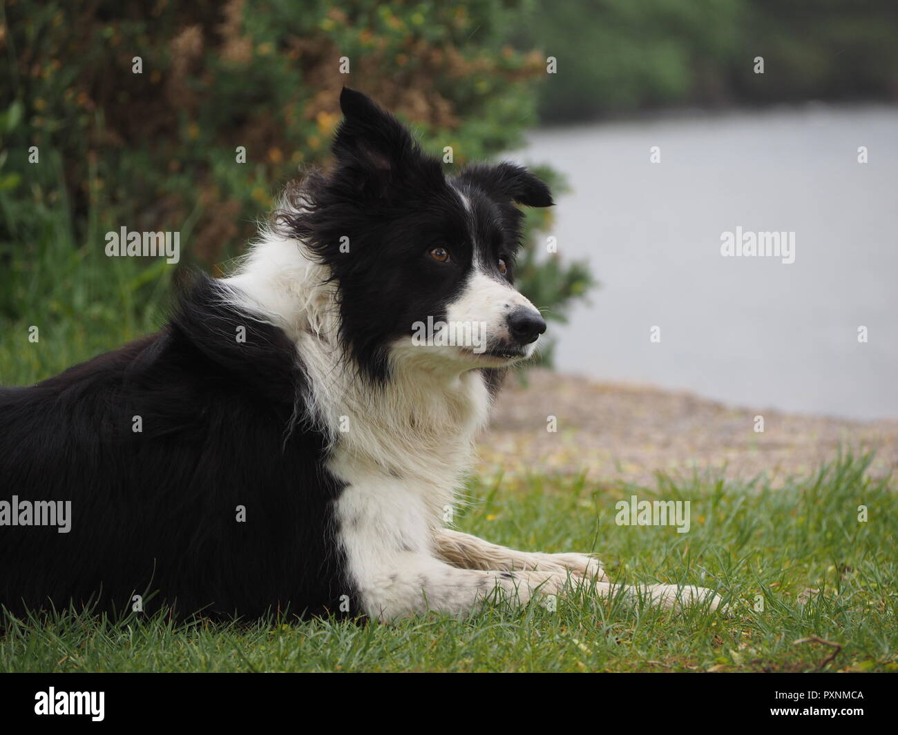 English countryside scene Stock Photo - Alamy