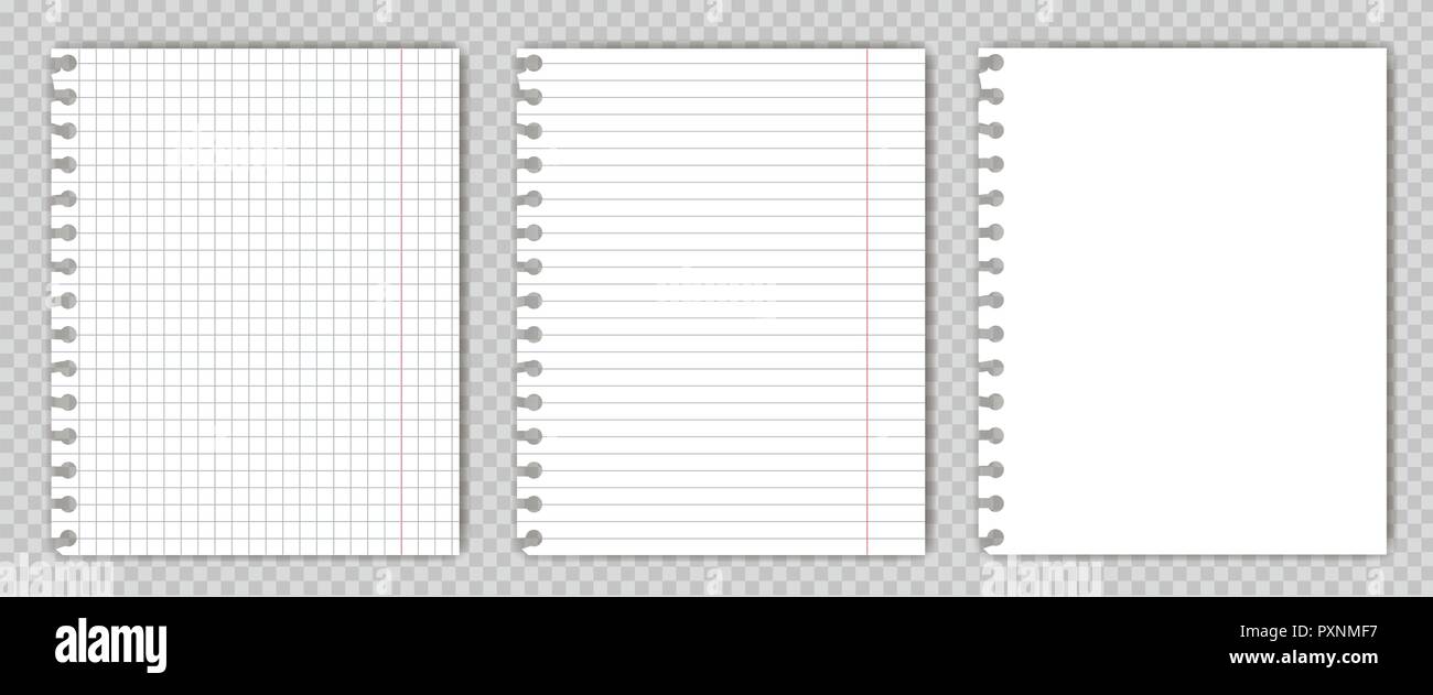 Set of blank copy book sheets with torn edges. Mockup or template of ...