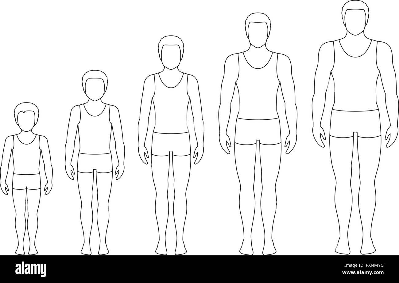 Human Body Proportions Activity