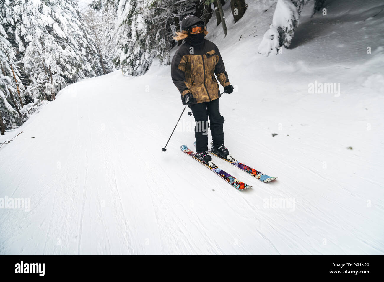 Happy forests hi-res stock photography and images - Alamy