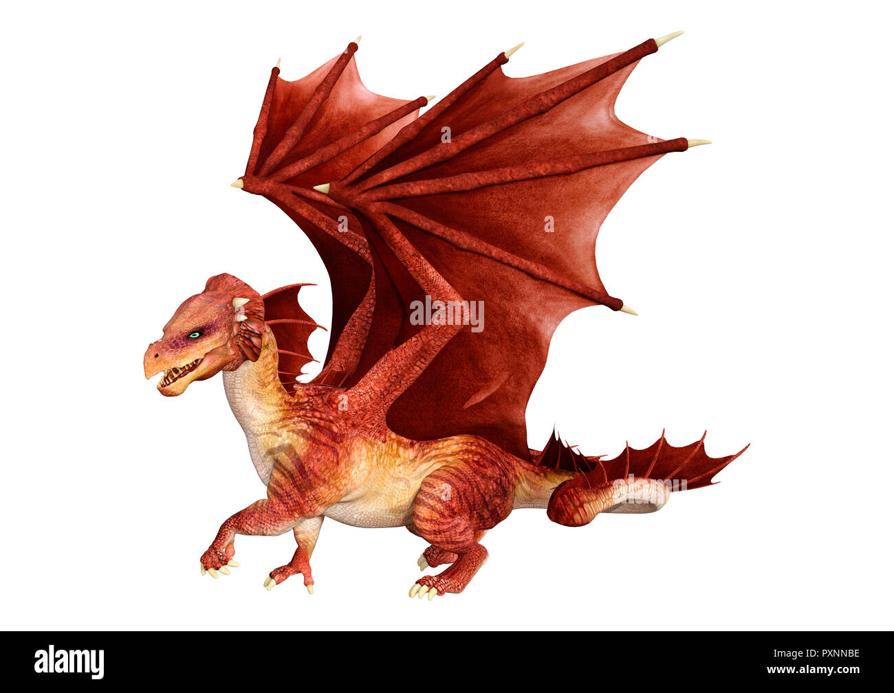 3D rendering of a red fantasy dragon isolated on white background Stock ...