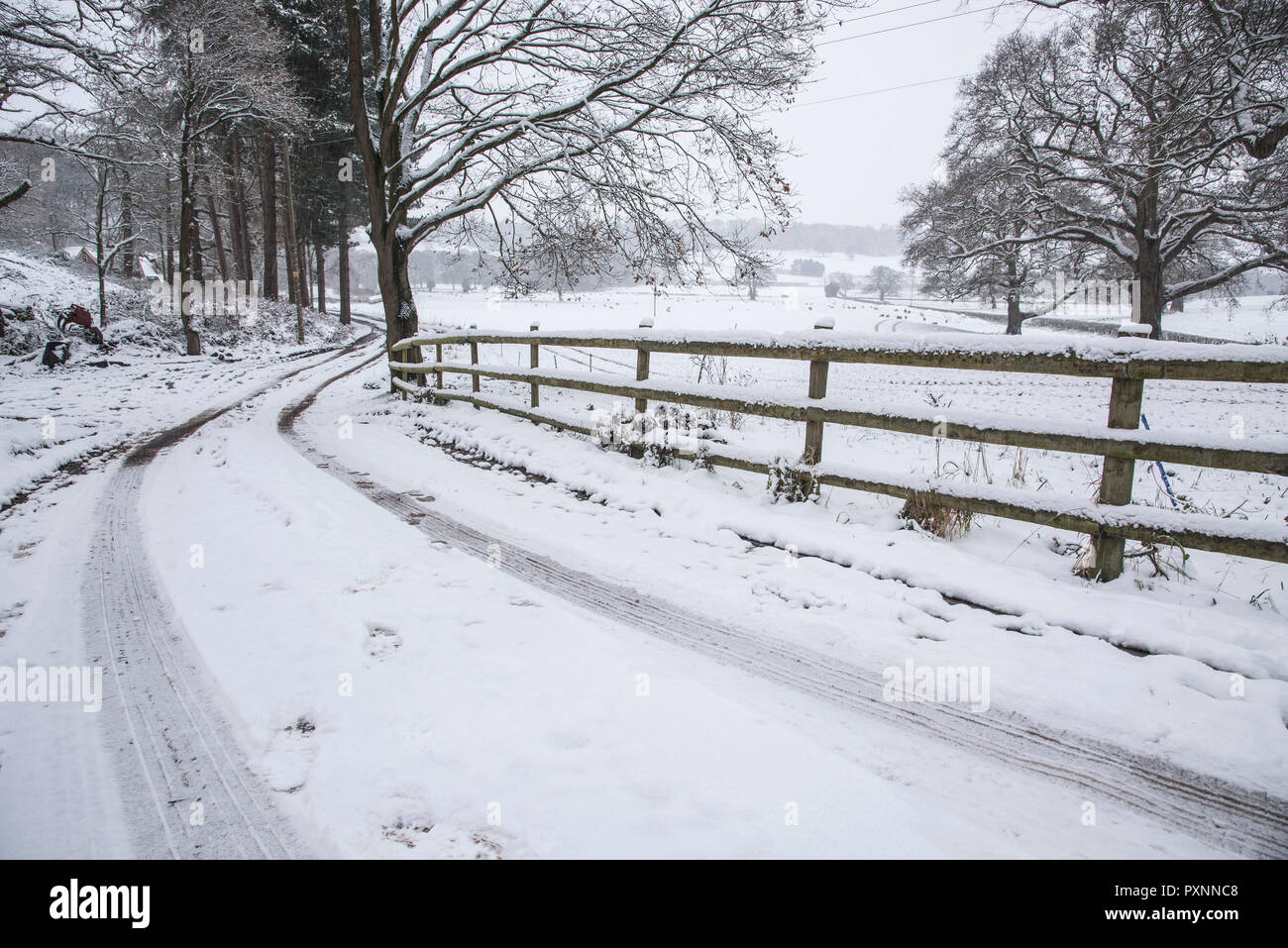 Snow covered tracks leading to snow covered trees during a British ...