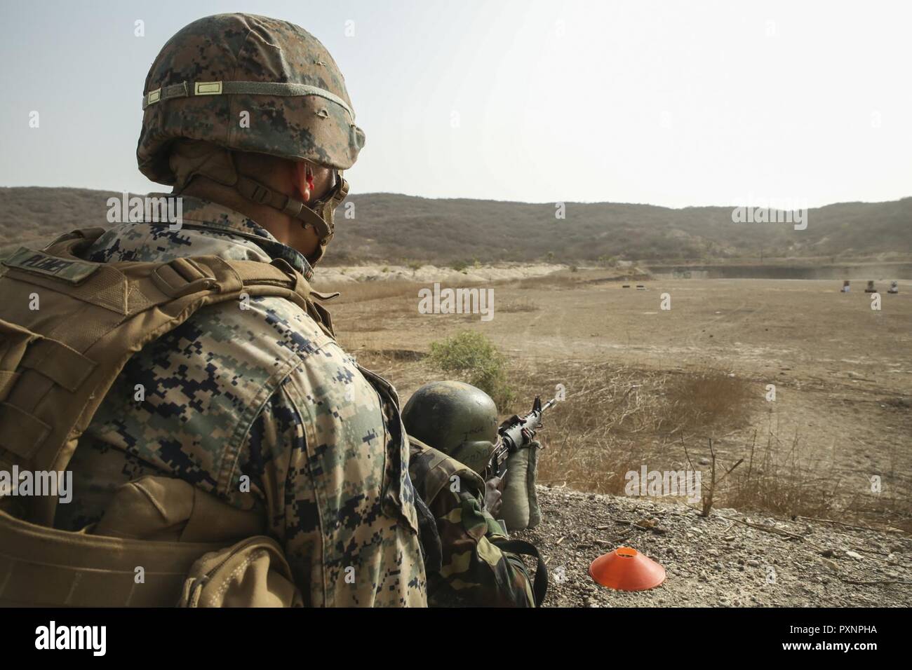 Senegalese rifleman hi-res stock photography and images - Alamy