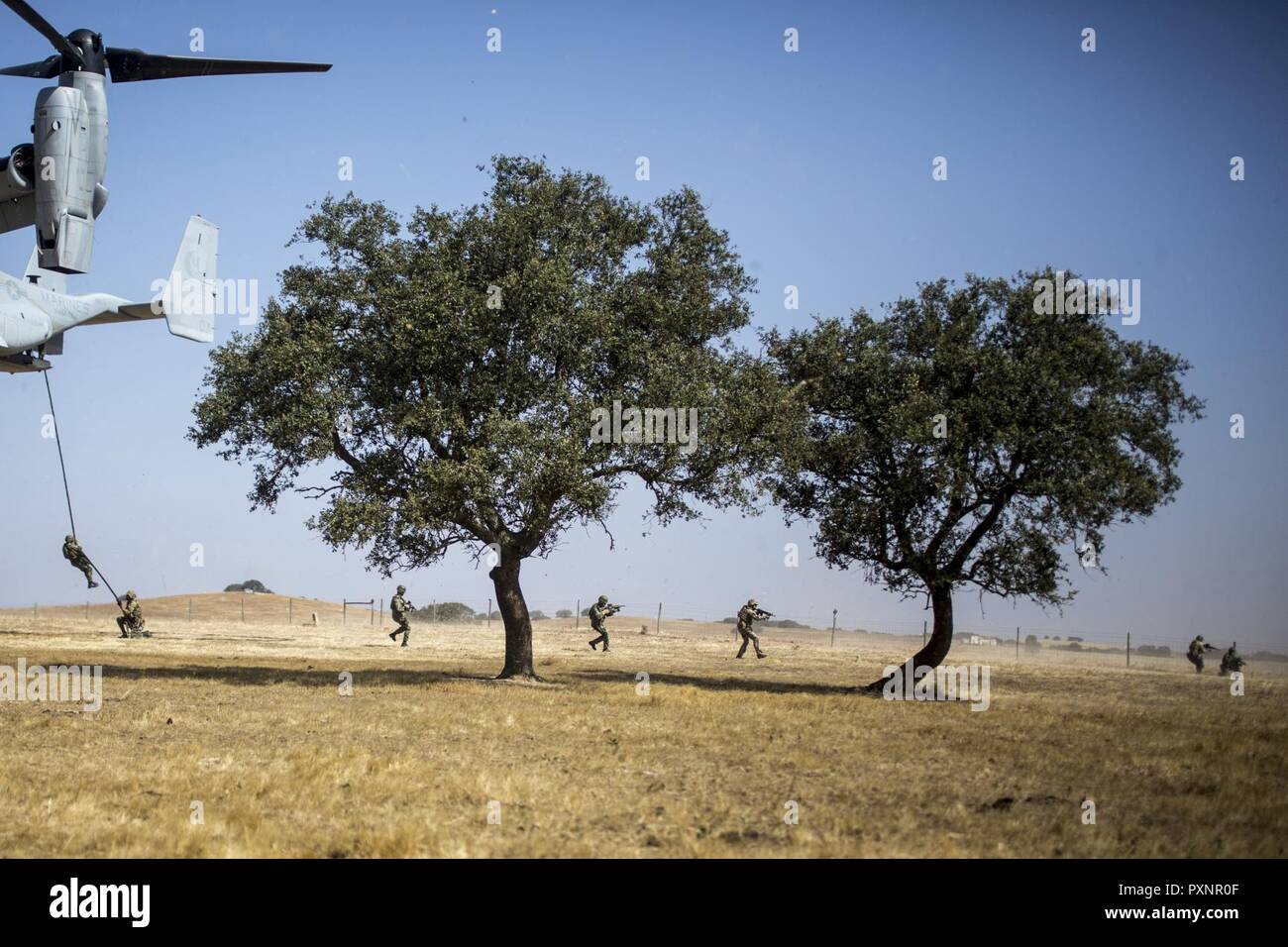 Portuguese special operators fast rope from a MV-22B Osprey aircraft ...