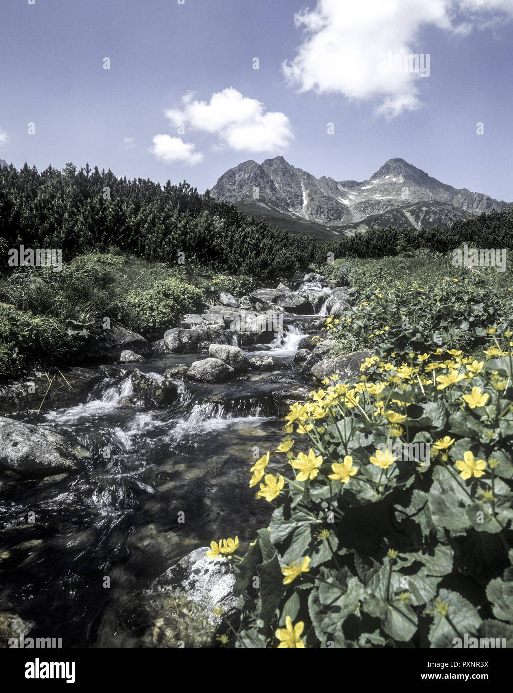 Mountain village of dolina hi-res stock photography and images - Alamy