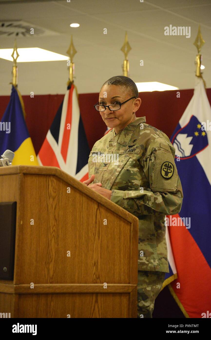 U.S. Army Col. Yolonda R. Summons, relates her future work projects and ...