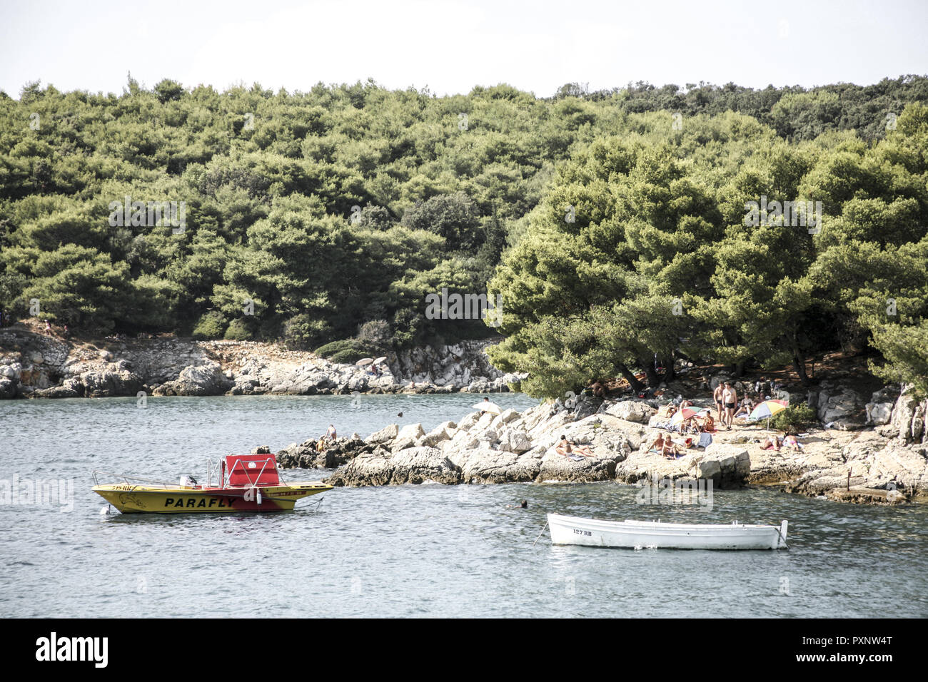 Croatia, Island Rab, Suha Punta Stock Photo - Alamy