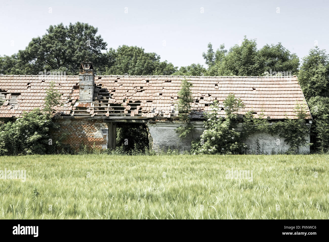 Old farm house, Slovakia, Jaslovske Bohunice Stock Photo - Alamy