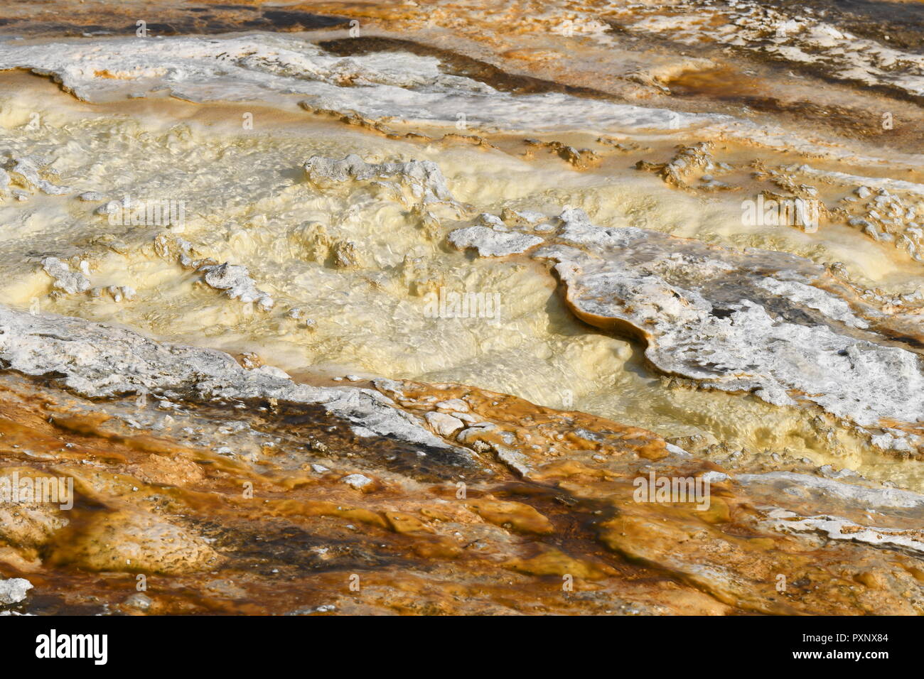 Acid pools yellowstone hi-res stock photography and images - Alamy