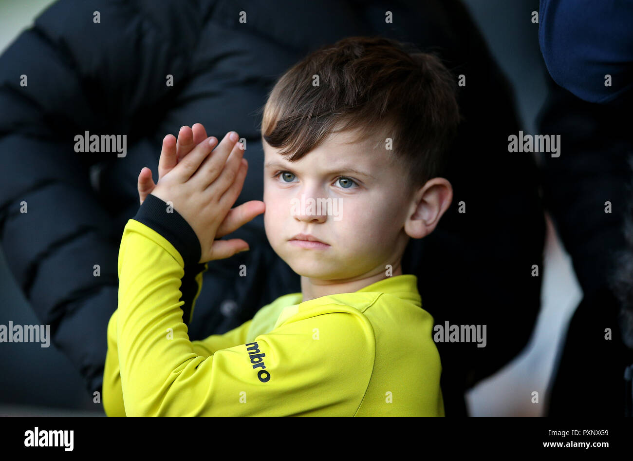 A young fan in the stands Stock Photo - Alamy