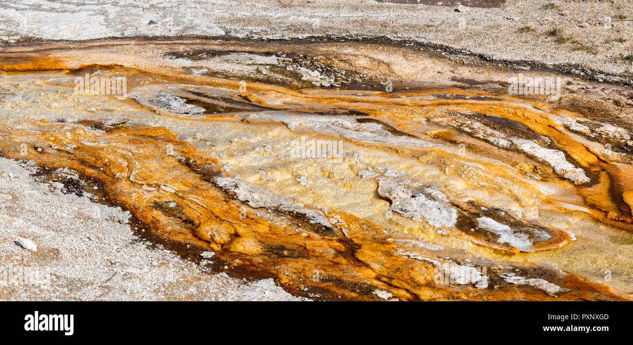 Acid pools yellowstone hi-res stock photography and images - Alamy