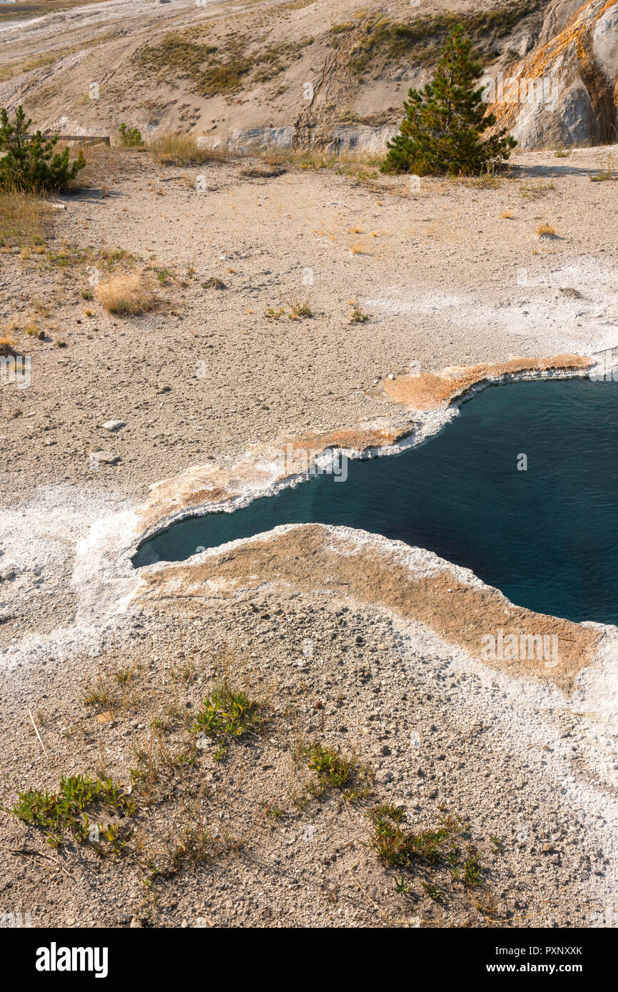 Acid pools yellowstone hi-res stock photography and images - Alamy
