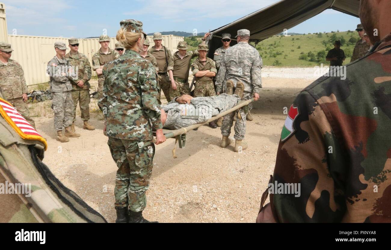 Members of the Royal Irish Regiment and the Ohio Army National Guard ...