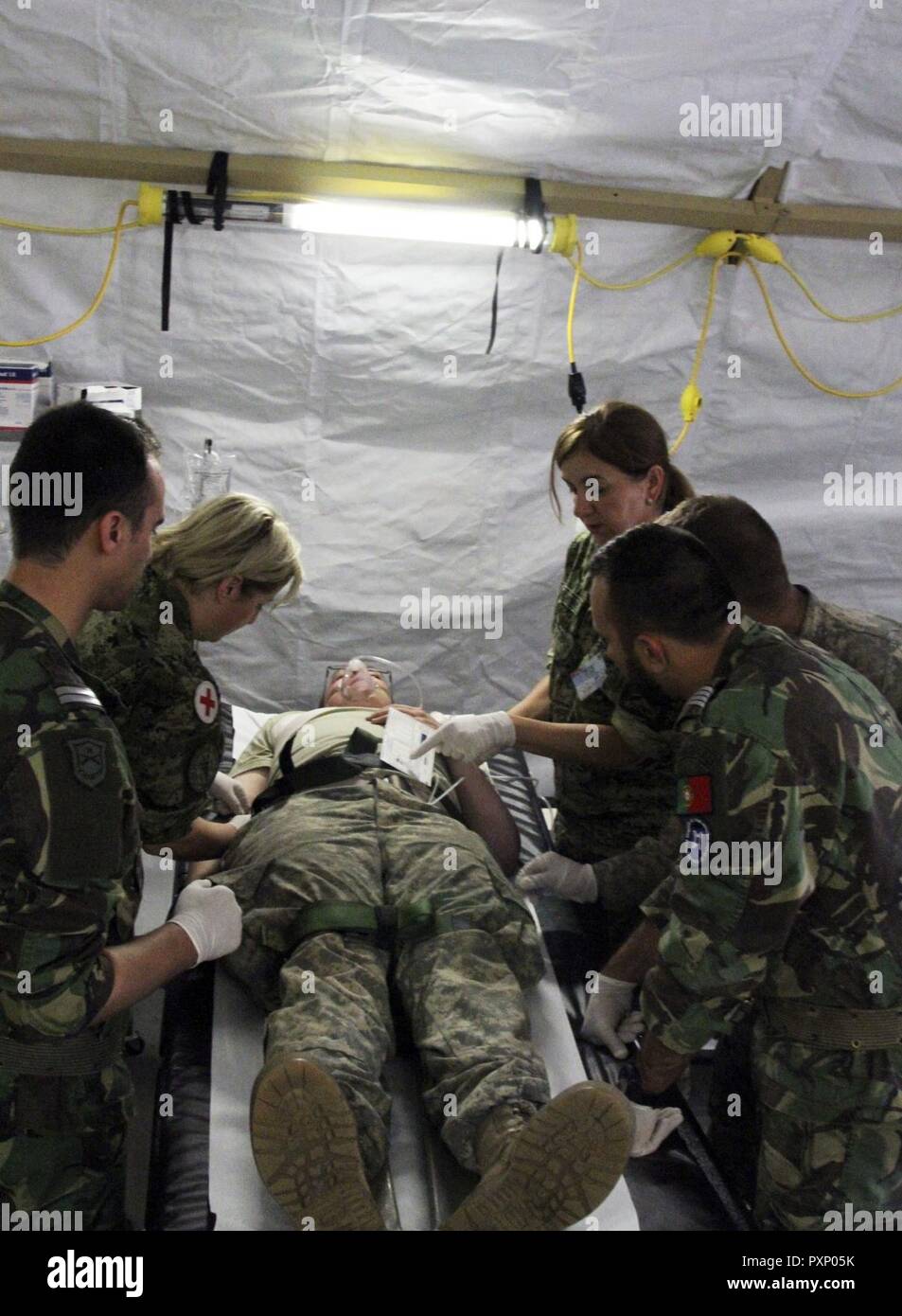 Minnesota Army National Guard Medical Soldiers work alongside Croatian ...
