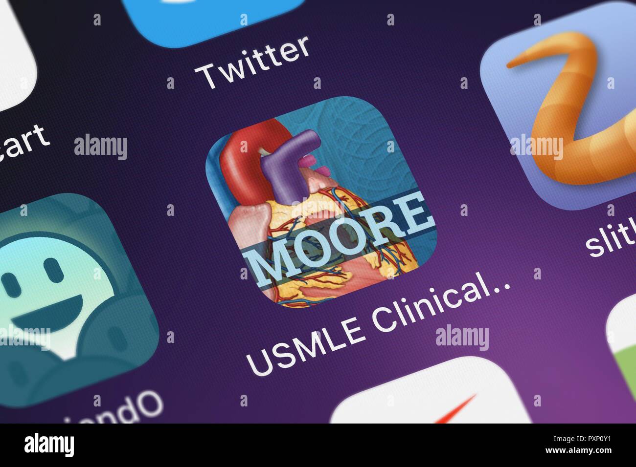 Usmle clinical anatomy quiz hi-res stock photography and images - Alamy