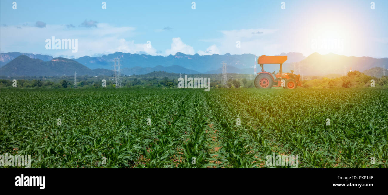 smart farming with agriculture industry 4.0 concept, farmer use tractor ...