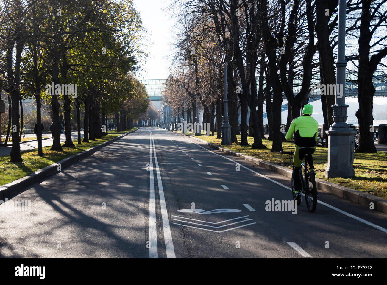 Bicycle asphalt path in the city park on a autumn sunny day Stock Photo ...