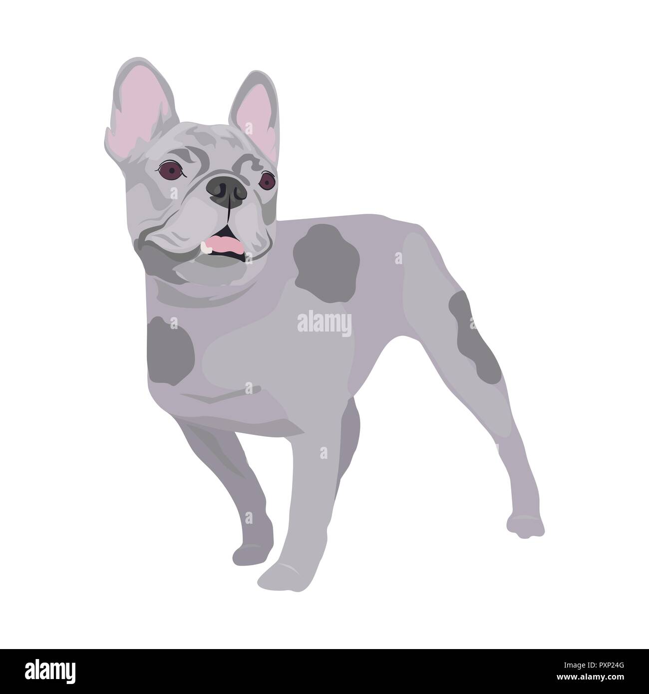 French Bulldog Outline
