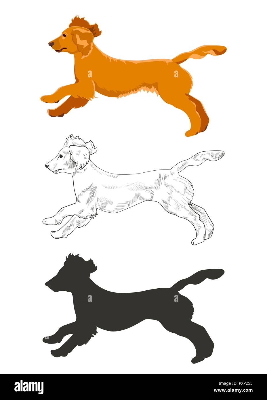 Dog silhouette cocker spaniel hi-res stock photography and images - Alamy