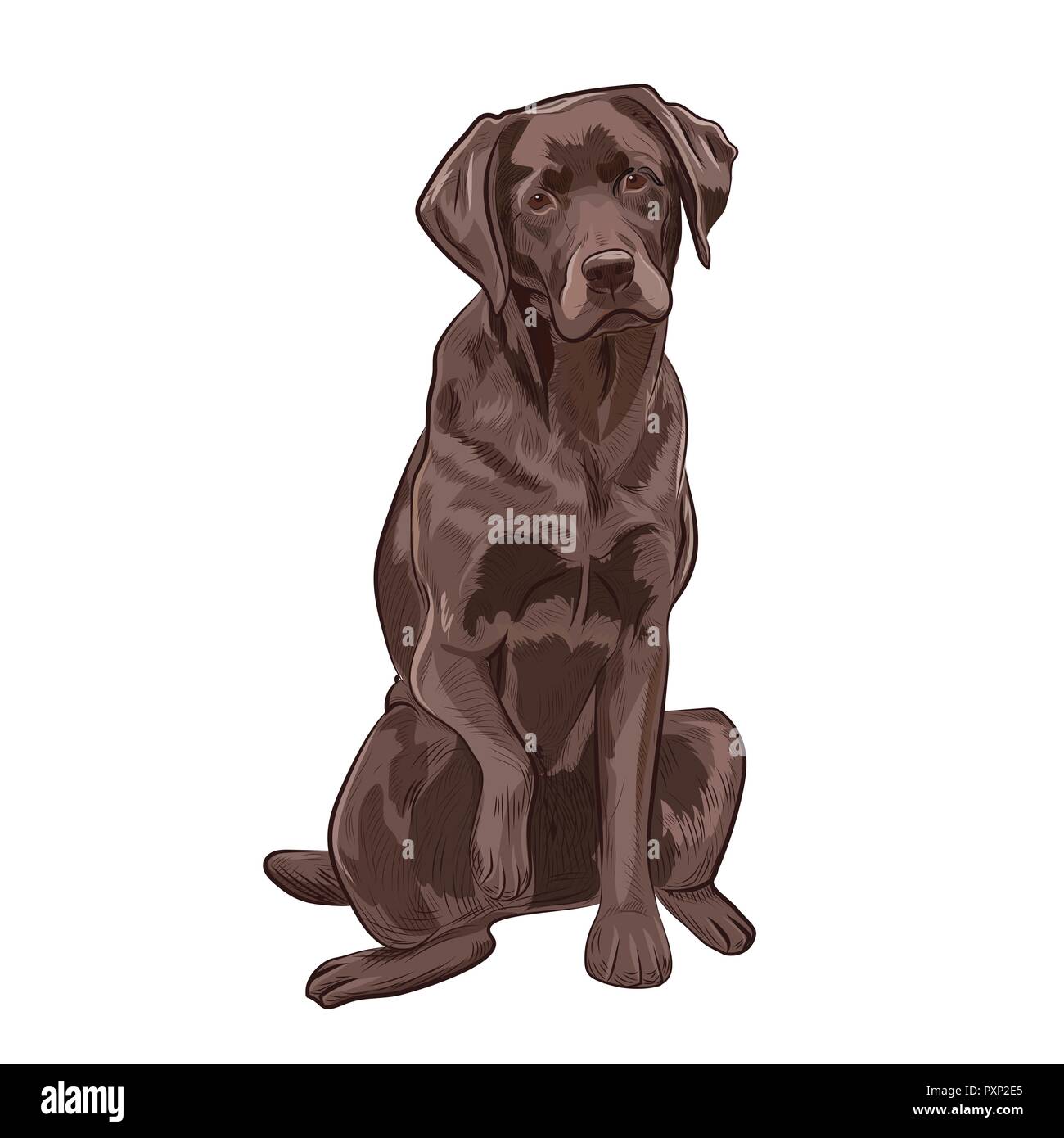 White dog giving paw Stock Vector Images - Alamy