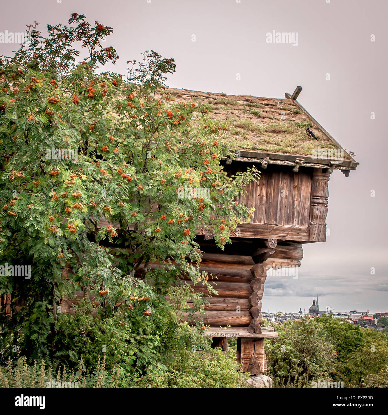 Freilichtmuseum skansen hi-res stock photography and images - Alamy