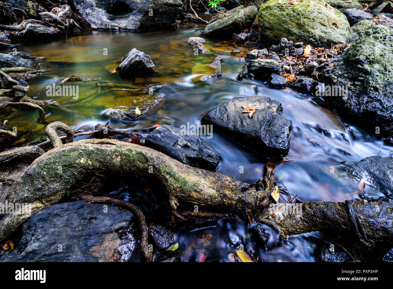 Rock among the water flow Stock Photo - Alamy