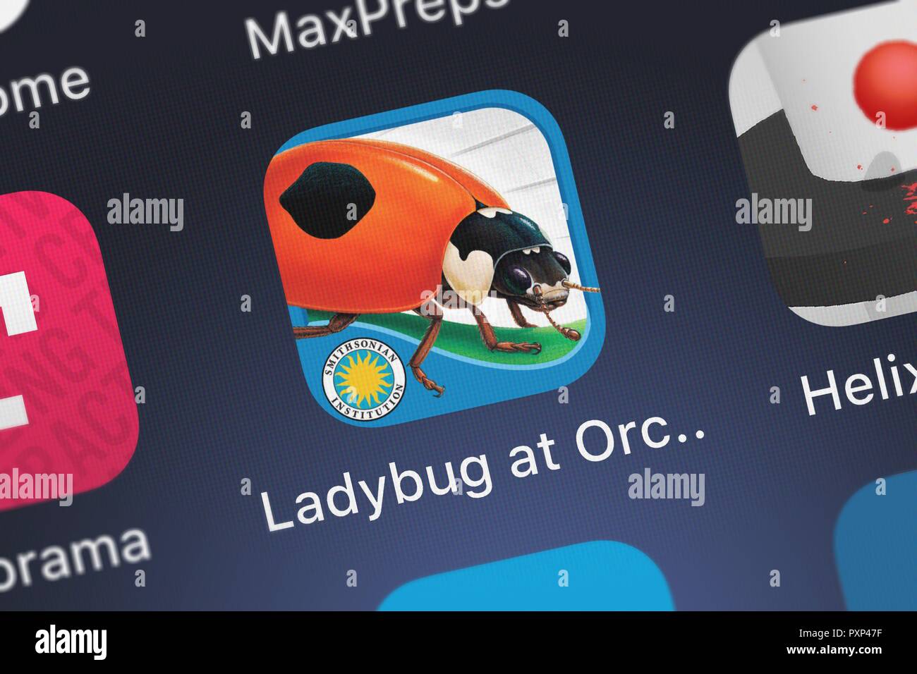 Ladybug at orchard avenue hi-res stock photography and images - Alamy